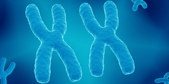 Comprendre les télomères et leur impact sur la santé. – Laboratoires ...