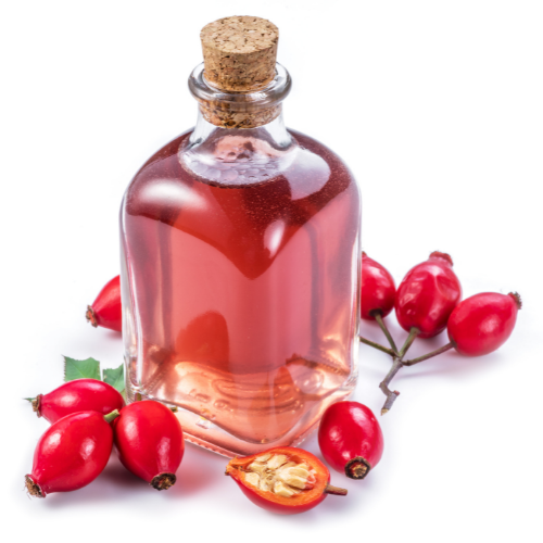 intestin – Laboratoires Christian Roche
